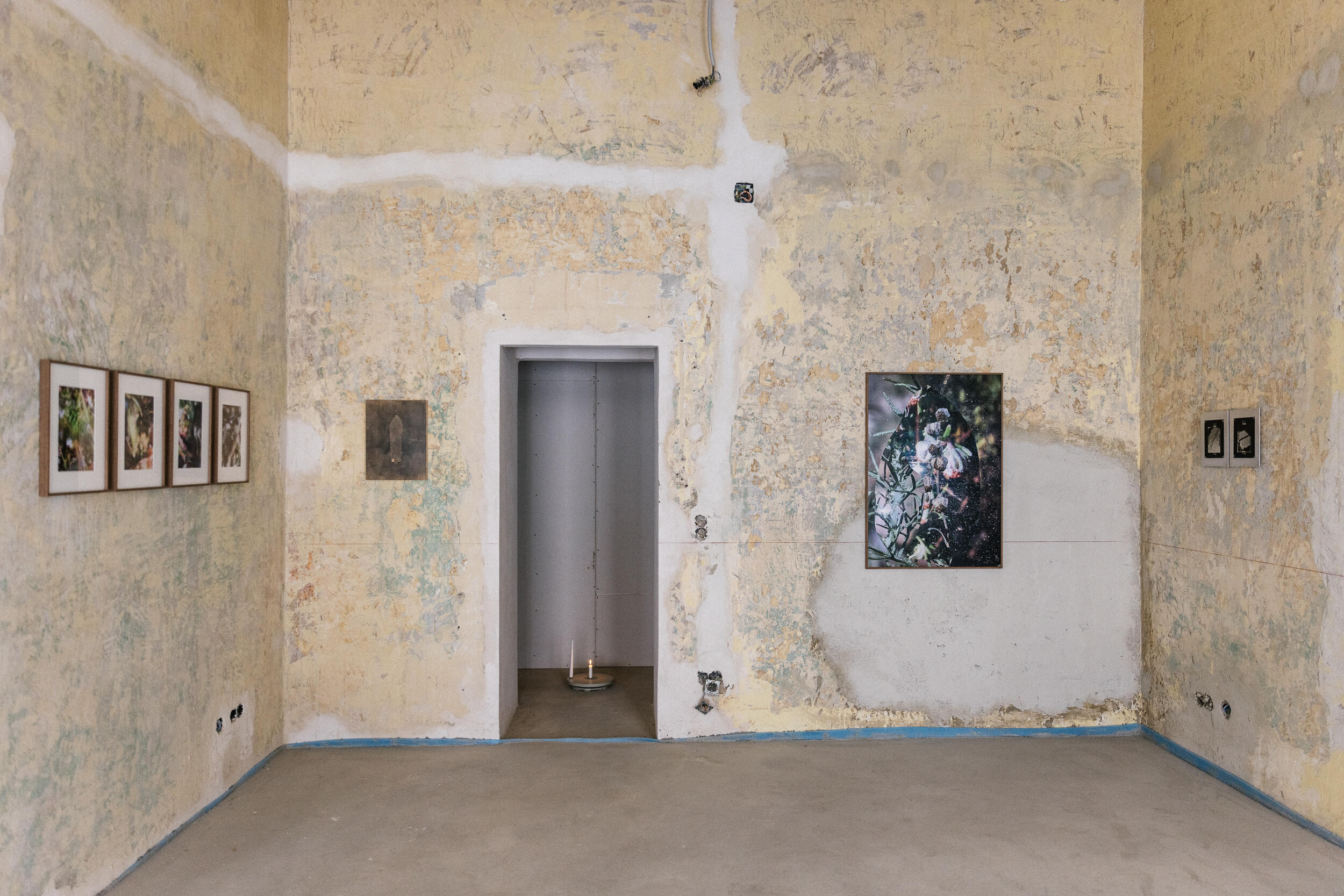 Curator's Tour — Foto Wien