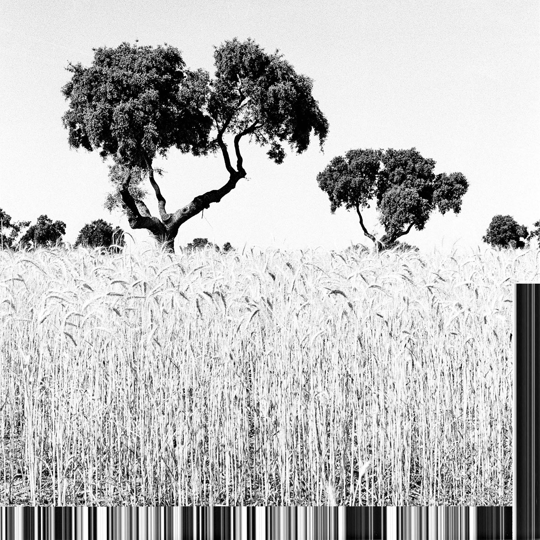 Broken Landscapes / Traces of Transience — Foto Wien